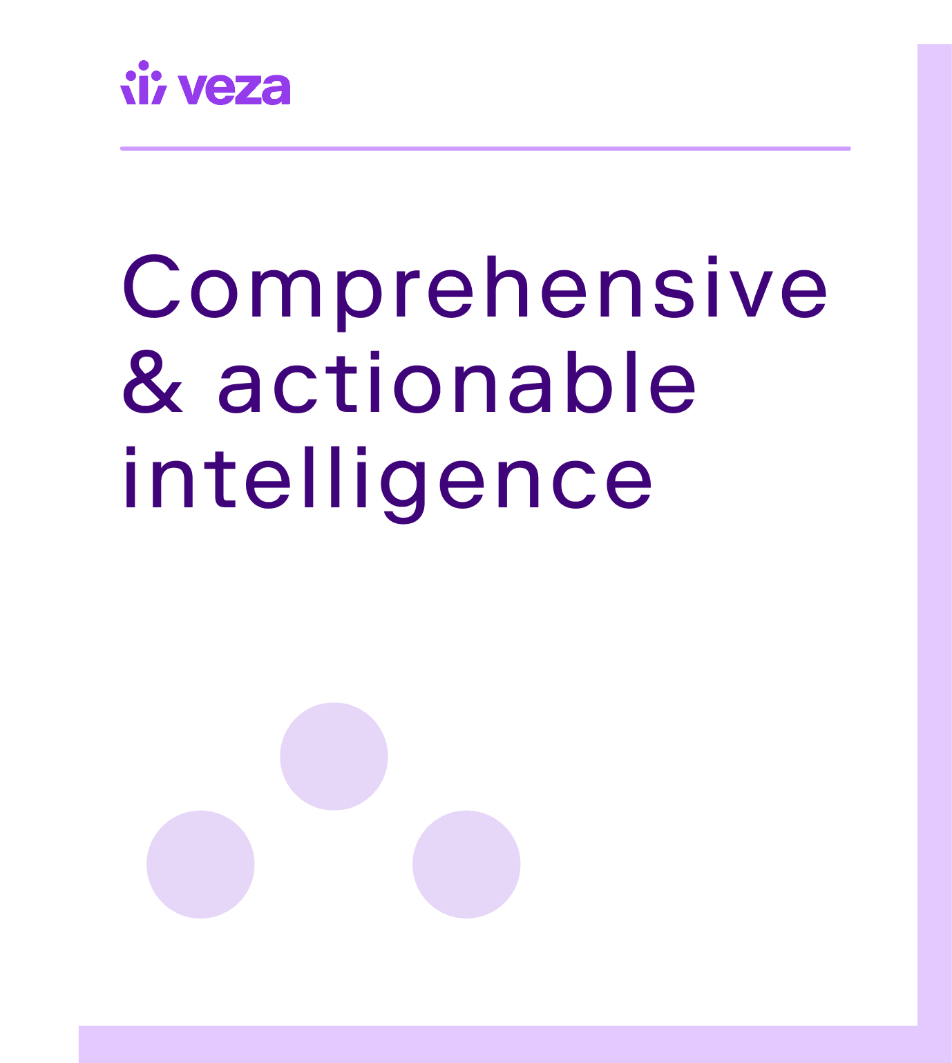 Veza | Veza provides comprehensive & actionable intelligence into…